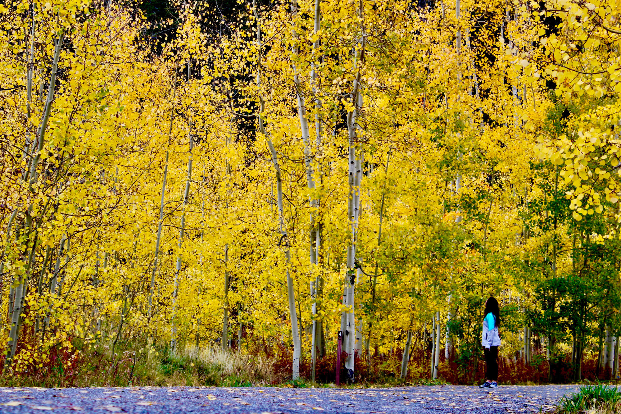 September in Boulder: Lots to Do - WW Reynolds Companies